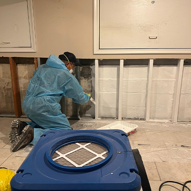 Certified Mold Removal & Remediation Specialist Union NJ
